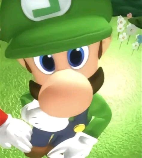 Mario Y Luigi Mario Art Cartoon Profile Pics Matching Profile