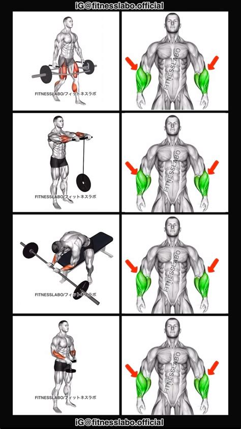 𝗙𝗜𝗧𝗡𝗘𝗦𝗦𝗟𝗔𝗕𝗢 How To Build Bigger Forearms ① Hex Bar Walk ② Wrist Roller ③ Reverse Wrist Curl ④