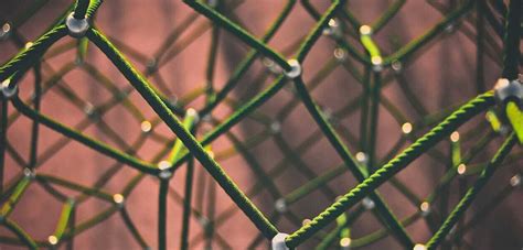Hedera Hashgraph Development Company Perfectiongeeks
