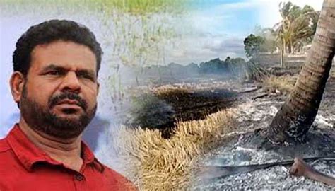 Neth News Sri Lanka Latest Sinhala News And Headlines Sri Lanka