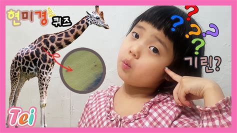 퀴즈놀이 150배 확대된 물건을 맞혀라 현미경 퀴즈 Toyㅣ태희의 해피 하우스 키즈크리에이터 Youtube