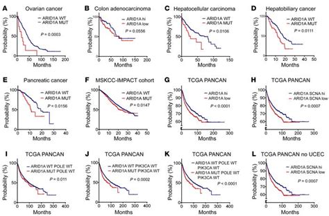 Jci Epigenetic Driver Mutations In Arid1a Shape Cancer Immune