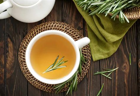 로즈마리 효능 5가지 및 부작용 차 만들기 방법 고르는 법 로즈마리 추출물 웰빙인사이트