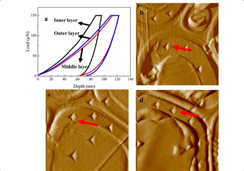a typical load depth curves of nanoindentation tests in cell wall of