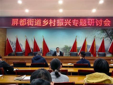 屏都街道：凝聚青年力量 助力乡村振兴
