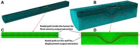 Quadrant D Meshed Geometries And The Adjacent Paths On The Lower Wall
