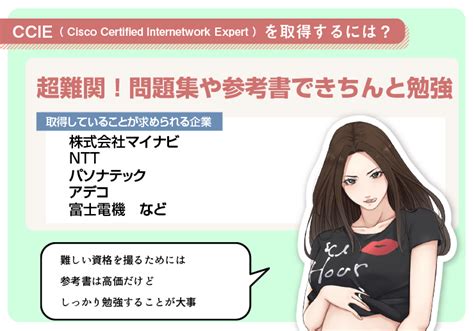Ccie取得者の年収は630万円～994万円！20～65歳の年収推移・役職別年収｜平均年収jp