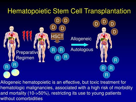 Ppt Overview Of Hematopoietic Stem Cell Transplantation Hsct