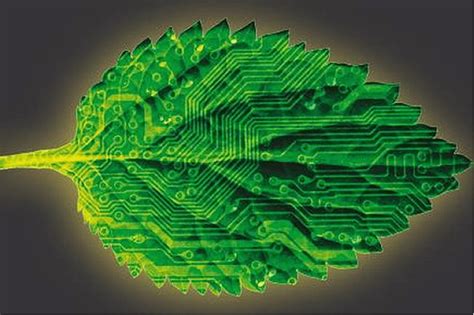 Bionic Leaf Turns Sunlight Into Liquid Fuel Watts Up With That