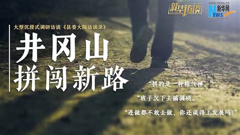 新华能源新华网