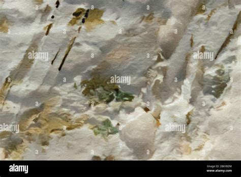 High Quality Detailed Close Up Texture Macro Background In Oil Dry