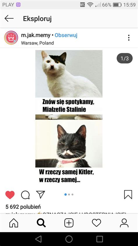 Pin By Angiie 🎸 On Zapisane Na Szybko Funny Memes Memes Funny