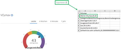 Fw 9 33 Running Vo2max Value Vs Garmin Connect Web Epix Gen 2 Series Wearables Garmin