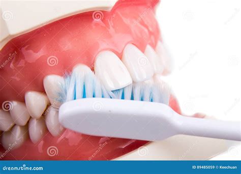 Demonstration On Soft And Slim Tapered Bristle Toothbrush Brushing