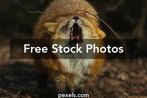 Hotanimegirlpfp Photos Download The Best Free Hotanimegirlpfp