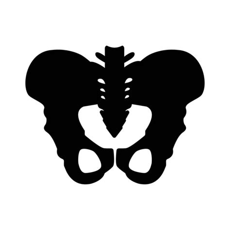 Silhouette Of Pelvis Icon Outline Element Vector Illustration Of Hip