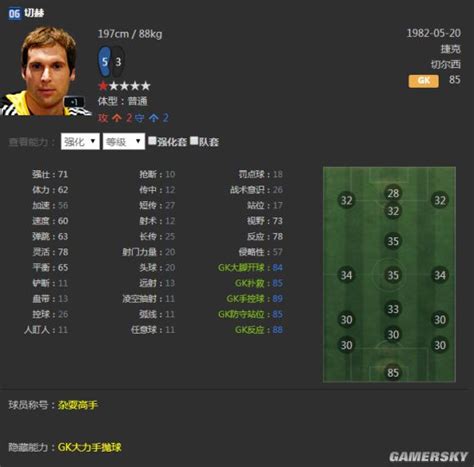 Fifa Online3国服顶级门将排名 国服顶级门将有哪些 游民星空
