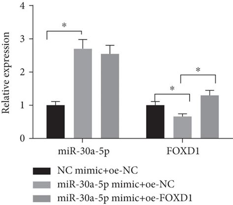 Mir 30a 5p Inhibits Proliferation And Migration Of Lscc Cells By