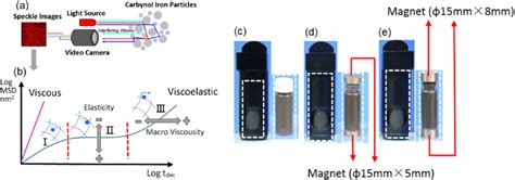 A Schematic Of Multi Speckle Diffusing Wave Spectroscopy And B Msd Download Scientific