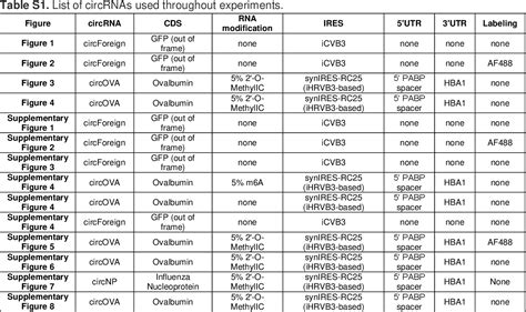 Figure 2 From Circular Rna Vaccine Induces Potent T Cell Responses