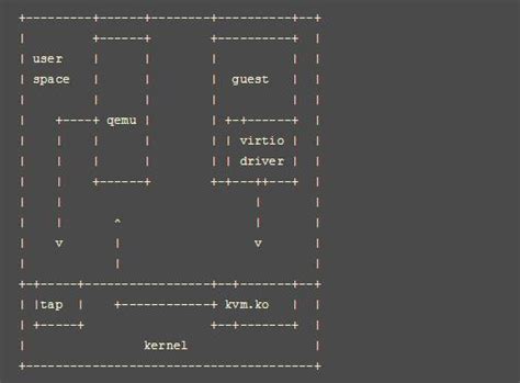 Virtiovhost 和vhost Uservhost Vhost User Csdn博客