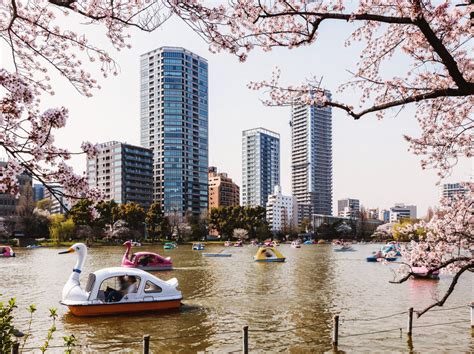 2025年东京旅游攻略 6月东京酒店 景点 门票 美食 自助游 自驾 自由行 游玩攻略 Tripadvisor猫途鹰