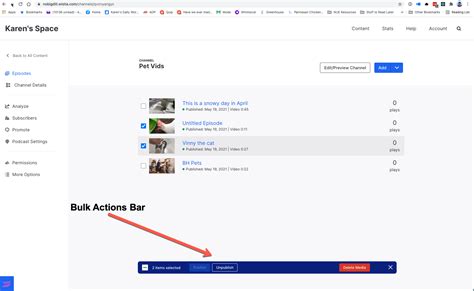 Bulk Actions In Channels Wistia