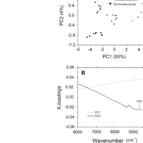 principal component analysis pca a score graph b loading graph
