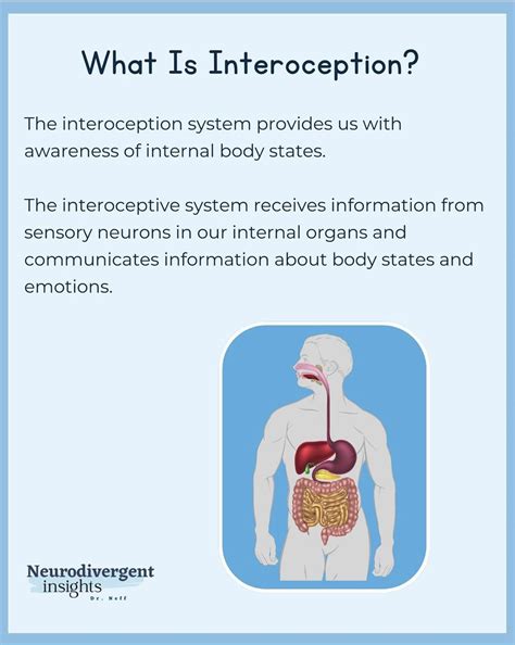 Interoception The Eighth Sense And Autism The Autism Helper Artofit