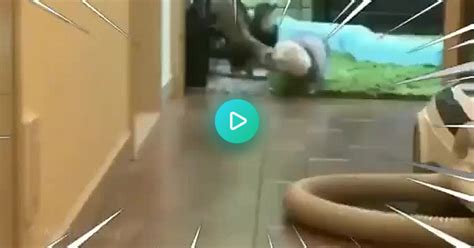 Glomp Album On Imgur