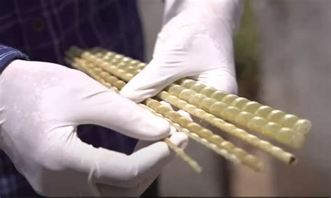 Iit Hyderabad Propose Use Of Gfrp Rebar Discrete Fiber Based Reinforcing System In Concrete