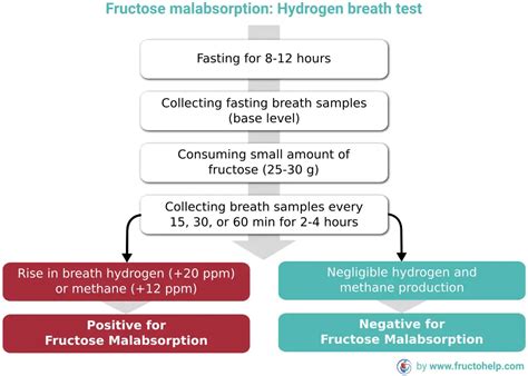 Breath Test Fructose Results At Selma Burns Blog