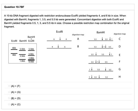 Solved A 10 Kb DNA Fragment Digested With Restriction Chegg