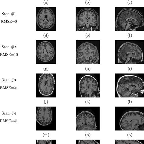 Typical Images Generated Using Synthetic Affine Transformations
