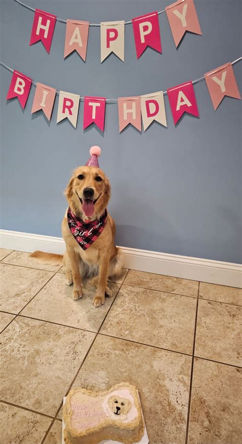 Happybirthday No3rdparties Oracle Ocw24 Ocw Oracleerp Oraclepayroll Oraclescm Otbi