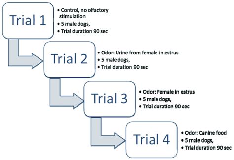 Scheme Of Experiment Download Scientific Diagram