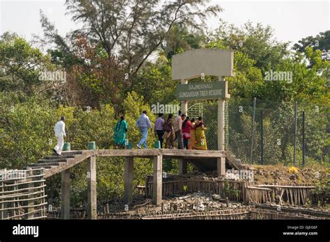 Entrance To The Sajnekhali Tiger Reserve In The Sundarbans National