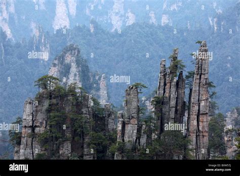 Zhangjiajie National Forest Park Wulingyuan Scenic Area China Hunan