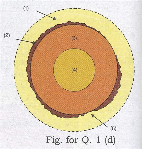 Chapter 4 Earths Structure Solutions For Class 9 Icse Total