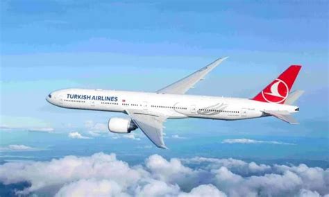 土耳其航空扩大机队，订购355架空客飞机 行业新闻 深圳市鹏远国际货运代理有限公司 深圳市鹏远国际货运代理有限公司