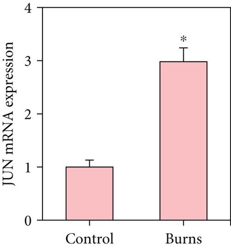 Detection Results Of Mrna Expression Levels Of Degs A E The Detected