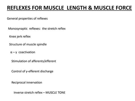 2016 03 23 Monosynaptic Reflex Pptx Brain And Nervous System Disorders Diseases And Conditions