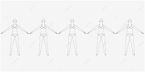 Weight Gain Progression Of Girl In Underwear Vector Vector Round Hips