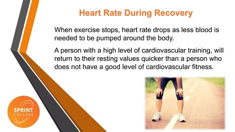 Heart Rate Response During Exercise And Heart Rate Monitors Ppt