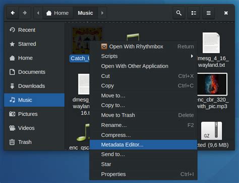Github Nvlgitnautilus Metadata Editor Extension Nautilus Extension