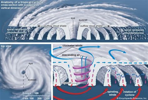 Tropical Cyclone Definition Causes Formation And Effects Britannica