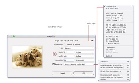Resize Or Downsample And Resample An Image Ulearn
