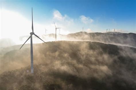 Abrdn Lgim Schroders Stick By Climate Coalition After Us Heavyweights