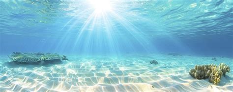 바위와 맑은 물이 있는 모래 해저 해저 표면 바위 배경 일러스트 및 사진 무료 다운로드 Pngtree