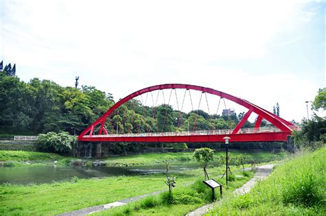 護台灣狐蝠 花蓮菁華橋取消光雕 花蓮縣 自由時報電子報